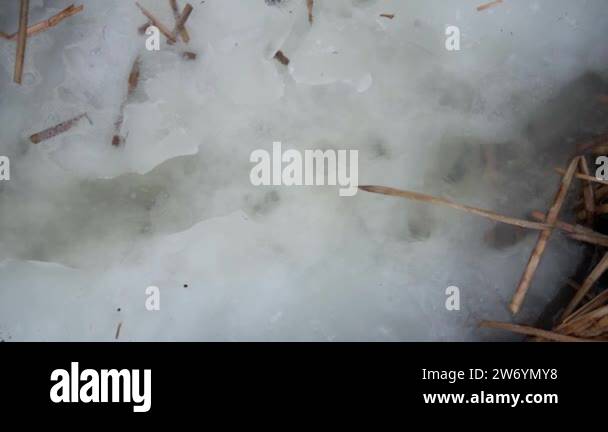 Spring melting snow. The melted snow forms a stream. The arrival of ...