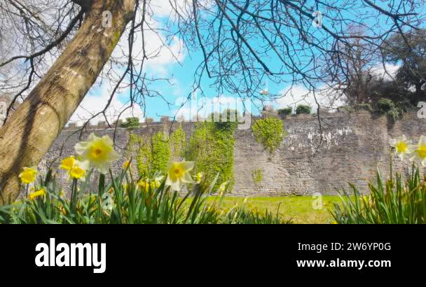 Welsh flag flies at half mast at Cardiff Castle as a mark of respect ...