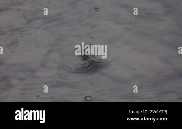 Glide skim float Stock Videos & Footage - HD and 4K Video Clips - Alamy