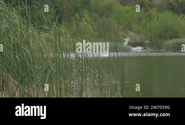 Sandy lake map Stock Videos & Footage - HD and 4K Video Clips - Alamy