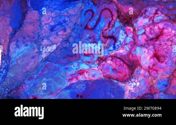 Colorful Abstract psychedelic liquid fluid light show, ink paint ...