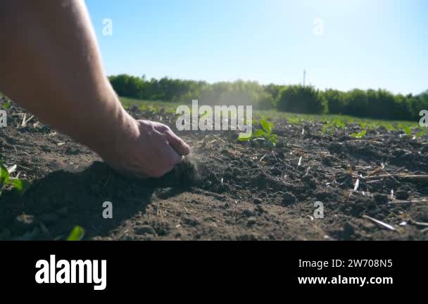 Close up of male farmer hands taking a handful of dry ground and ...