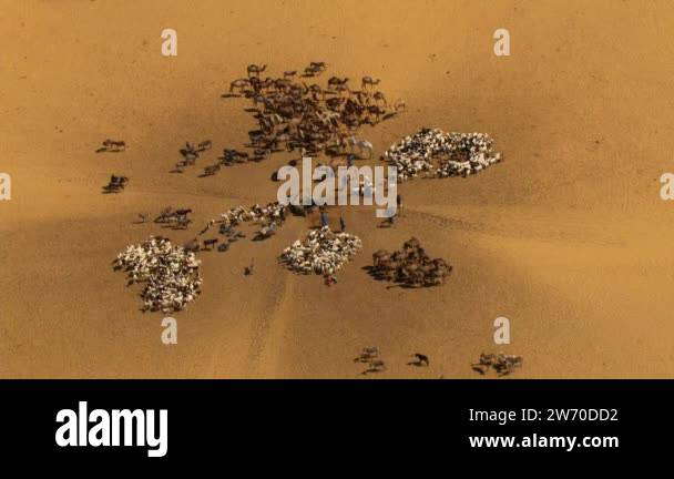 Saudi arabia desert well Stock Videos & Footage - HD and 4K Video Clips ...