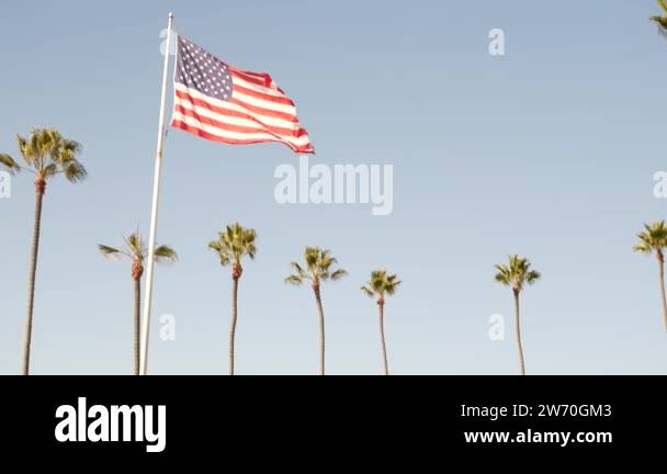 Palms and american flag, Los Angeles, California USA. Summertime ...