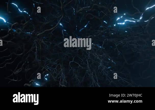 Mycelium growing into a neural network resembling massive link ...