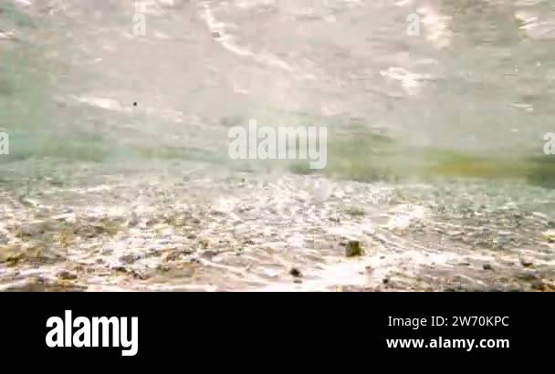 Shallow ground water Stock Videos & Footage - HD and 4K Video Clips - Alamy