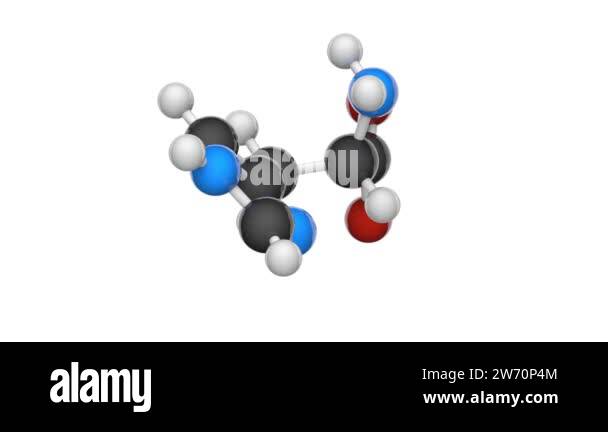 Histidine (symbol His or H) is an amino acid that is used in the ...