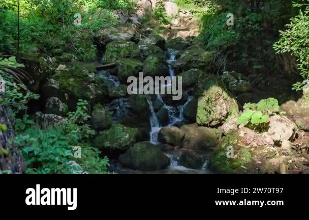 Pan down beautiful lush forest and waterfalls in Huda Luknja, Slovenia ...