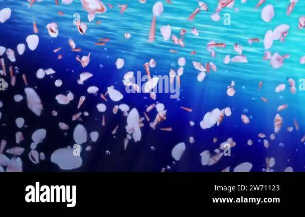 Flying many sea shells in blue water. Collection of realistic shellfish ...