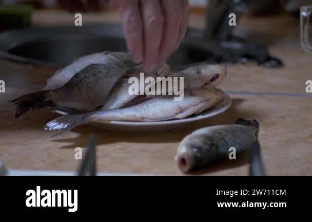 Mucus covered fish scales close up Stock Videos & Footage - HD and 4K ...