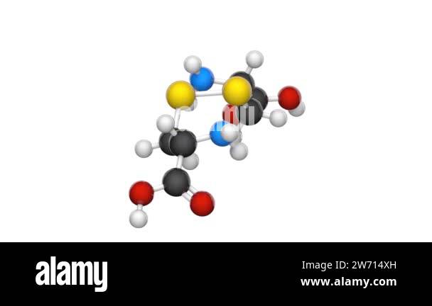 Chemical structural formula and model of cystine. Non-standard amino ...