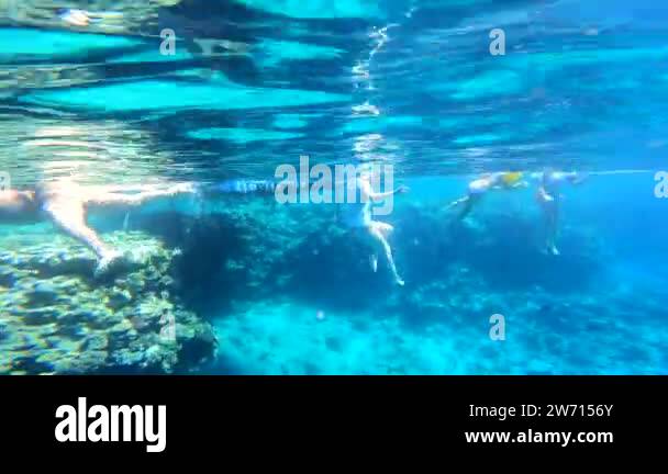 underwater video in the red sea with people in Egypt in Sharm el Sheikh ...