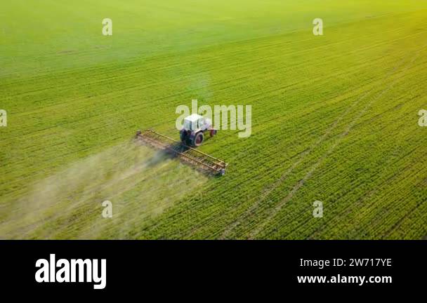 Powerful tractor with toothed harrow processes grain crops to increase ...