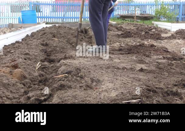 Women digging Stock Videos & Footage - HD and 4K Video Clips - Alamy