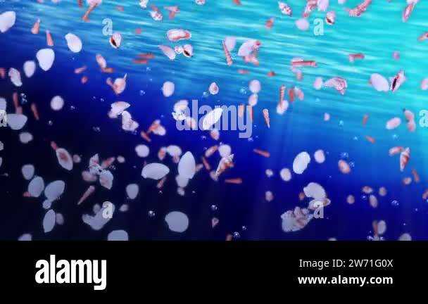Flying many sea shells in blue water. Collection of realistic shellfish ...