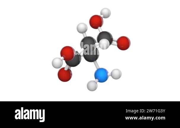 Aspartic acid (symbol Asp or D), is an amino acid that is used in the ...