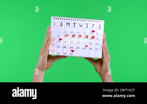 Female hands hold a womans periods calendar for checking menstruation ...