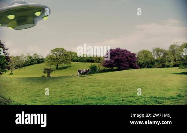 UFO alien abduction cow ufo unidentified flying object aliens close ...