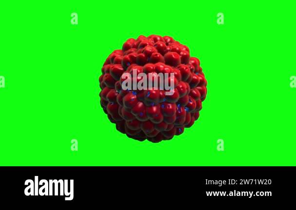 fat cell burning. cell damage. realistic 3d animation, green screen ...