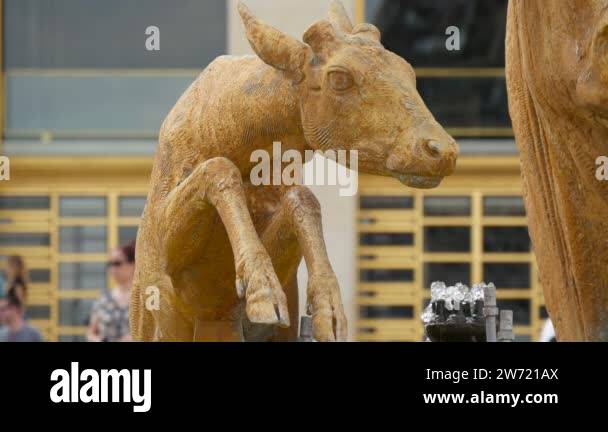 Animal bronze statue Stock Videos & Footage - HD and 4K Video Clips - Alamy