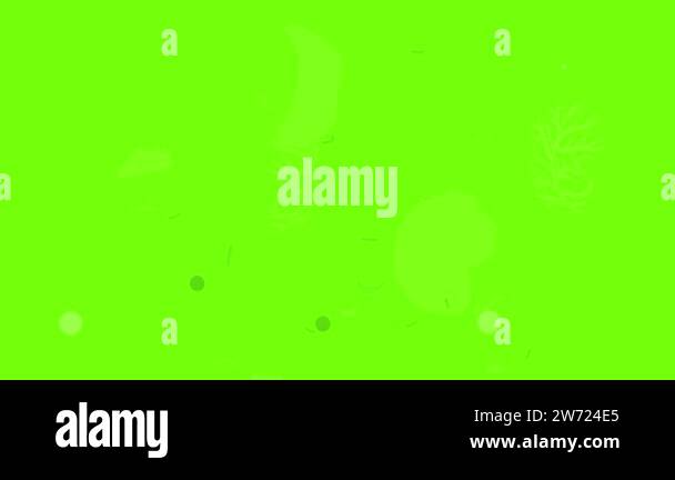 Cabbage animation Stock Videos & Footage - HD and 4K Video Clips - Alamy