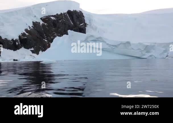 Iceberg floating Stock Videos & Footage - HD and 4K Video Clips - Alamy