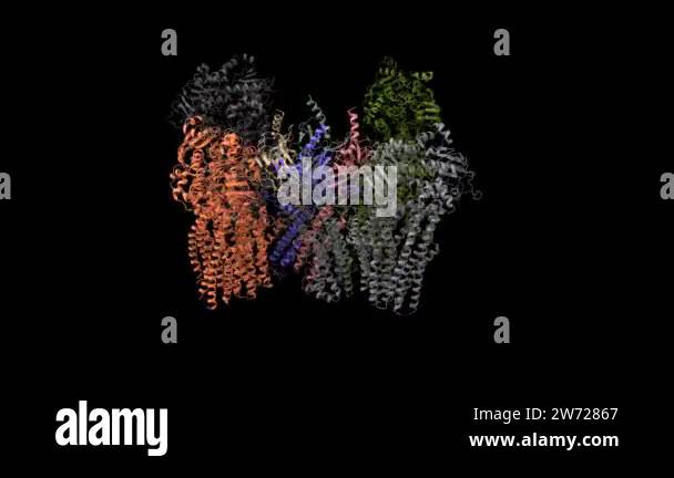 Structure of human KATP bound to ATP and ADP in propeller form, 3D ...