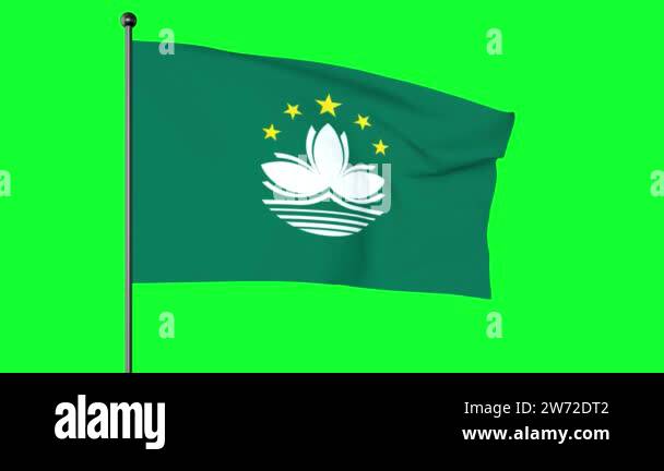 Green screen 3D Illustration of the Macau Regional Flag is a green flag ...