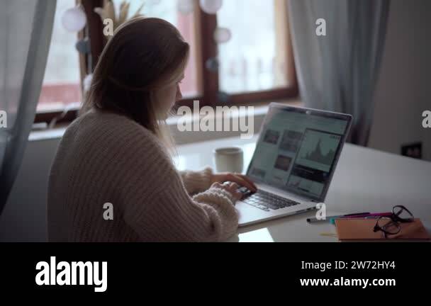 Back screen laptop woman Stock Videos & Footage - HD and 4K Video Clips ...