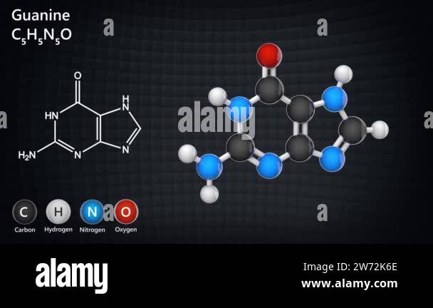 Chemical structural formula and model of Guanine. Nitrogenous base ...