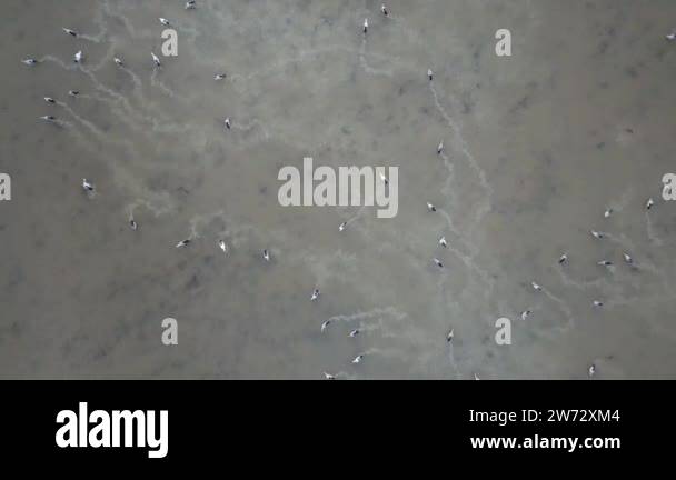 Field rest area Stock Videos & Footage - HD and 4K Video Clips - Alamy