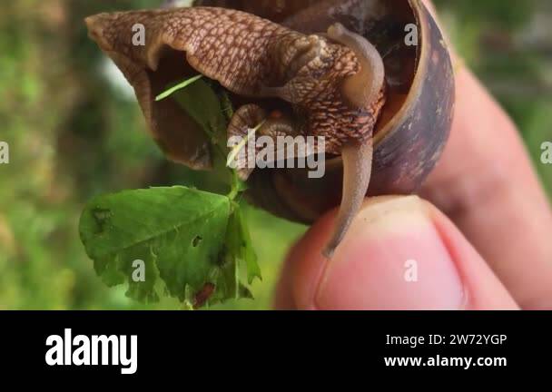 Man side view hold Stock Videos & Footage - HD and 4K Video Clips - Alamy