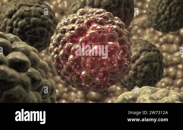 fat cell burning. cell damage. realistic 3d animation Stock Video ...