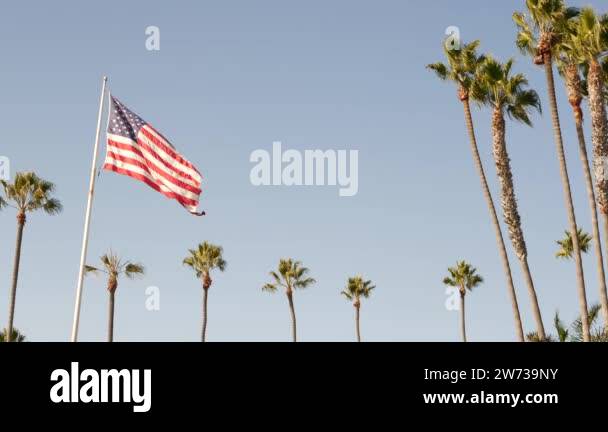 Palms and american flag, Los Angeles, California USA. Summertime ...