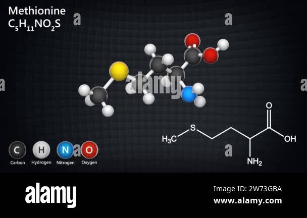 Methionine (symbol Met or M) is an essential amino acid in humans ...