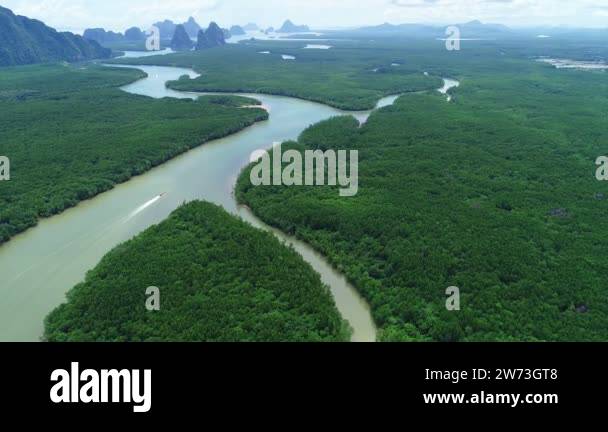 Aerial view Beautiful greenery mangrove forest with mountains peak ...