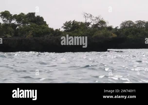 Lagoon at Kwale Island in Menai Bay, Mangroves with Reefs and Rocks ...