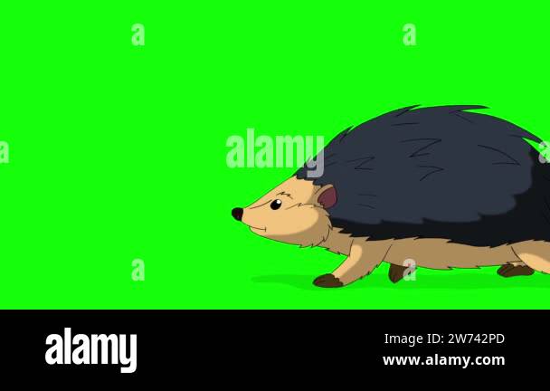The hedgehog walks back and forth. Handmade animated looped footage ...