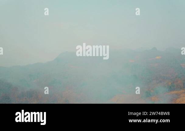 Smog of forest fires. Deforestation and Climate crisis. Toxic haze from ...