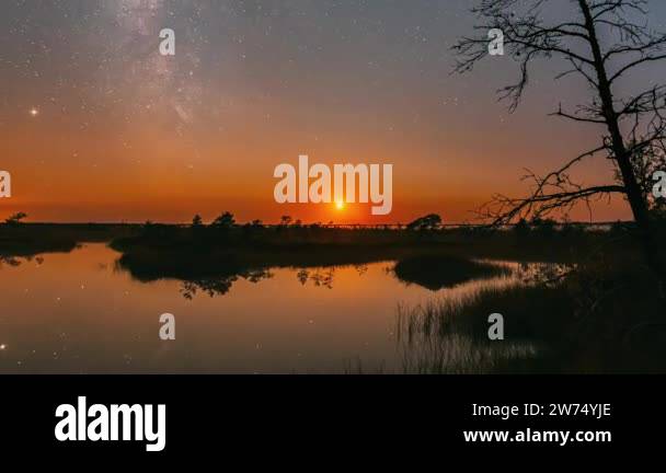 4K Swamp Nature Landscape. Night Starry Sky Milky Way Galaxy With ...