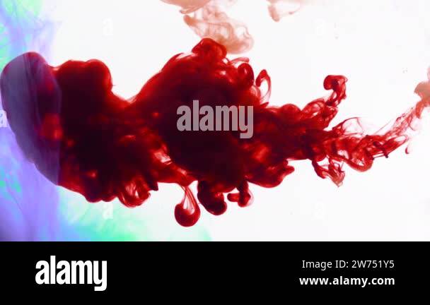 Dark Red Paint Bursts Into The Water - A dark red ink droplet is ...