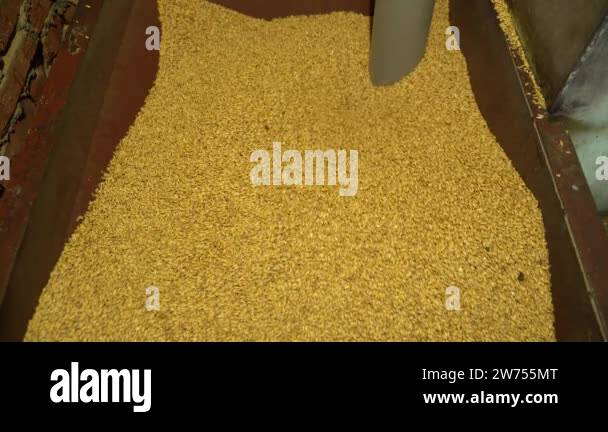 Beer strainer Stock Videos & Footage - HD and 4K Video Clips - Alamy