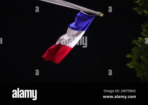 French flag in tree Stock Videos & Footage - HD and 4K Video Clips - Alamy