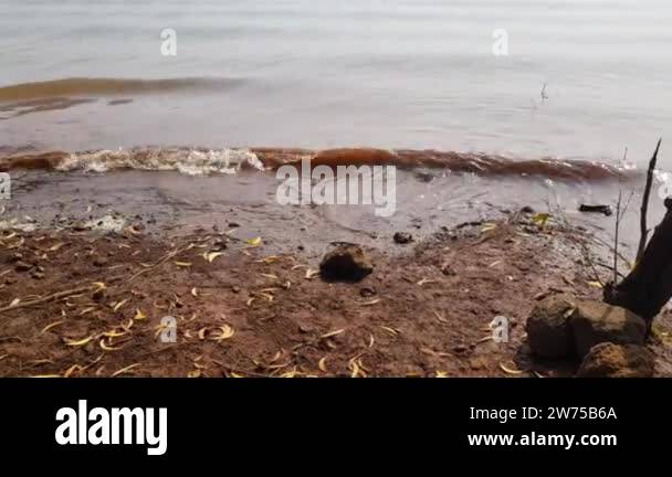 Pavana lake Stock Videos & Footage - HD and 4K Video Clips - Alamy