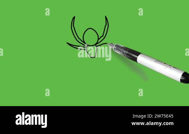 Drawing a green bug Stock Videos & Footage - HD and 4K Video Clips - Alamy
