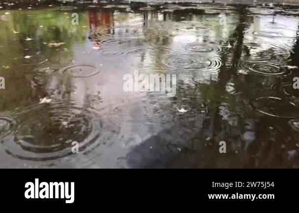 Droplet water falling puddle Stock Videos & Footage - HD and 4K Video ...