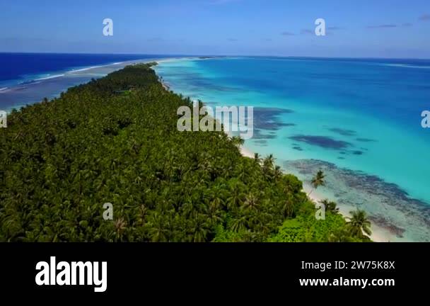 Blue sea Bahamas, beach sand, exotic palm trees, white sand, white sand ...