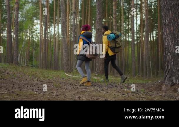 Two african-american travel hikers with backpack walking while looking the landscape in the ...