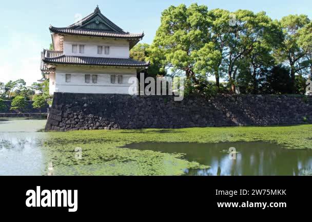 Video of the Kikyo-bori moat overgrown with water plants around the ...