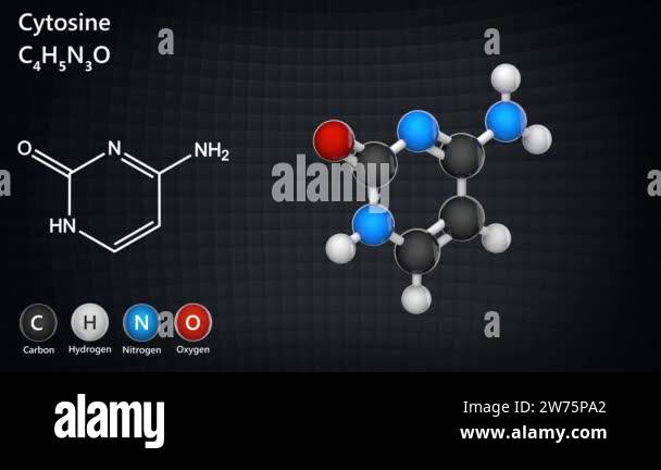 Cytosine. Nitrogenous base molecular structure(DNA and RNA parts ...